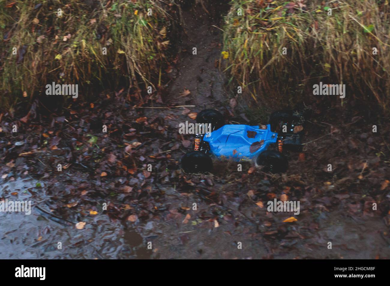 Radio controlled buggies cars race, process of rc wireless model toy ...