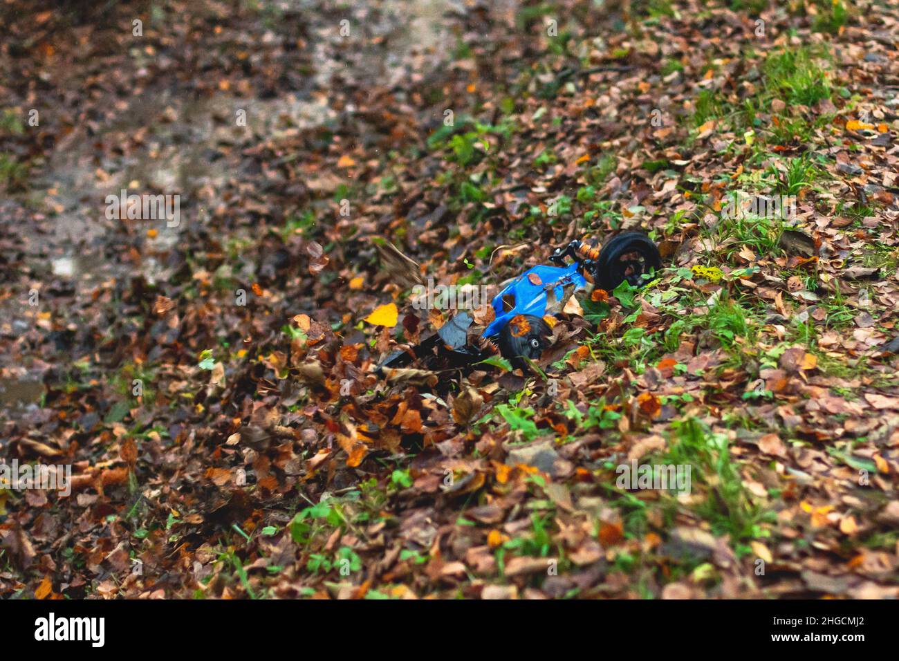 Radio controlled buggies cars race, process of rc wireless model toy ...