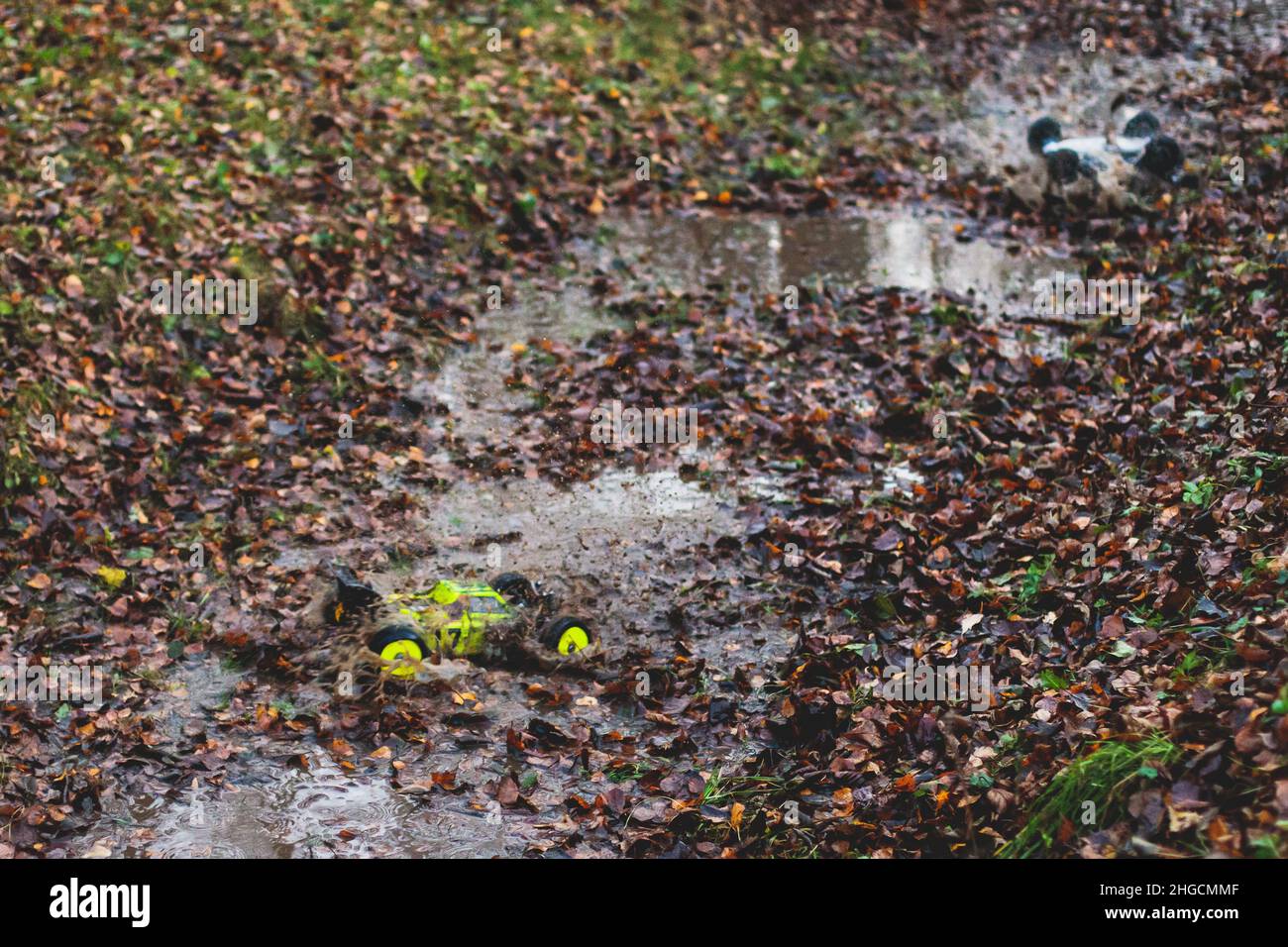 Radio controlled buggies cars race, process of rc wireless model toy ...