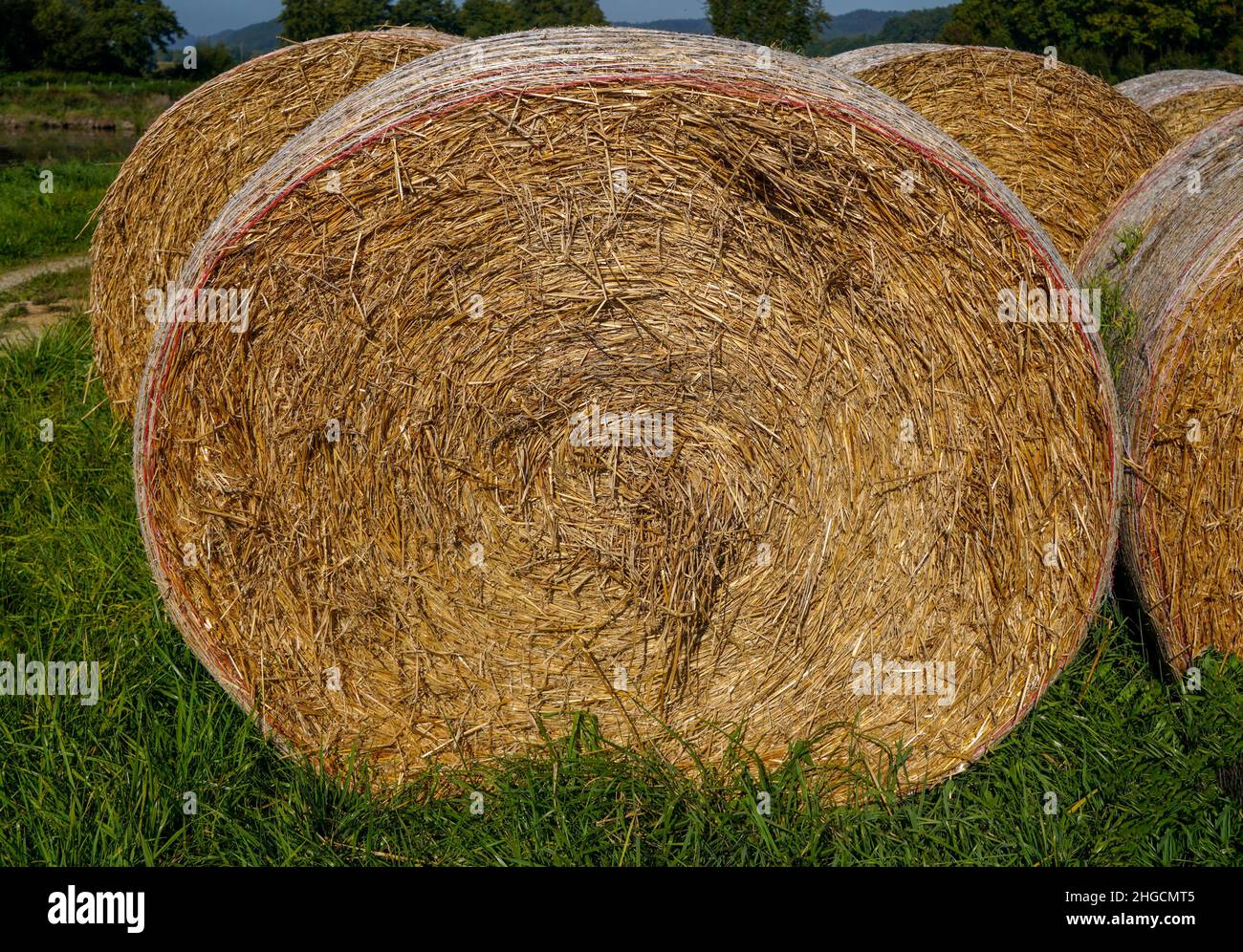 Rolls hay haystack bales hi-res stock photography and images - Alamy