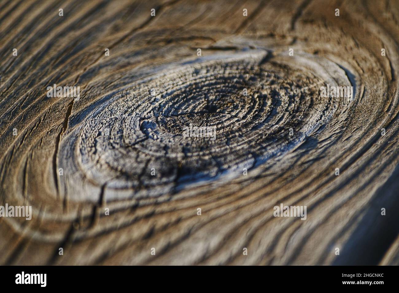 123RF Background Of Wood Texture With Knot. Macro Shot Stock Photo - Alamy