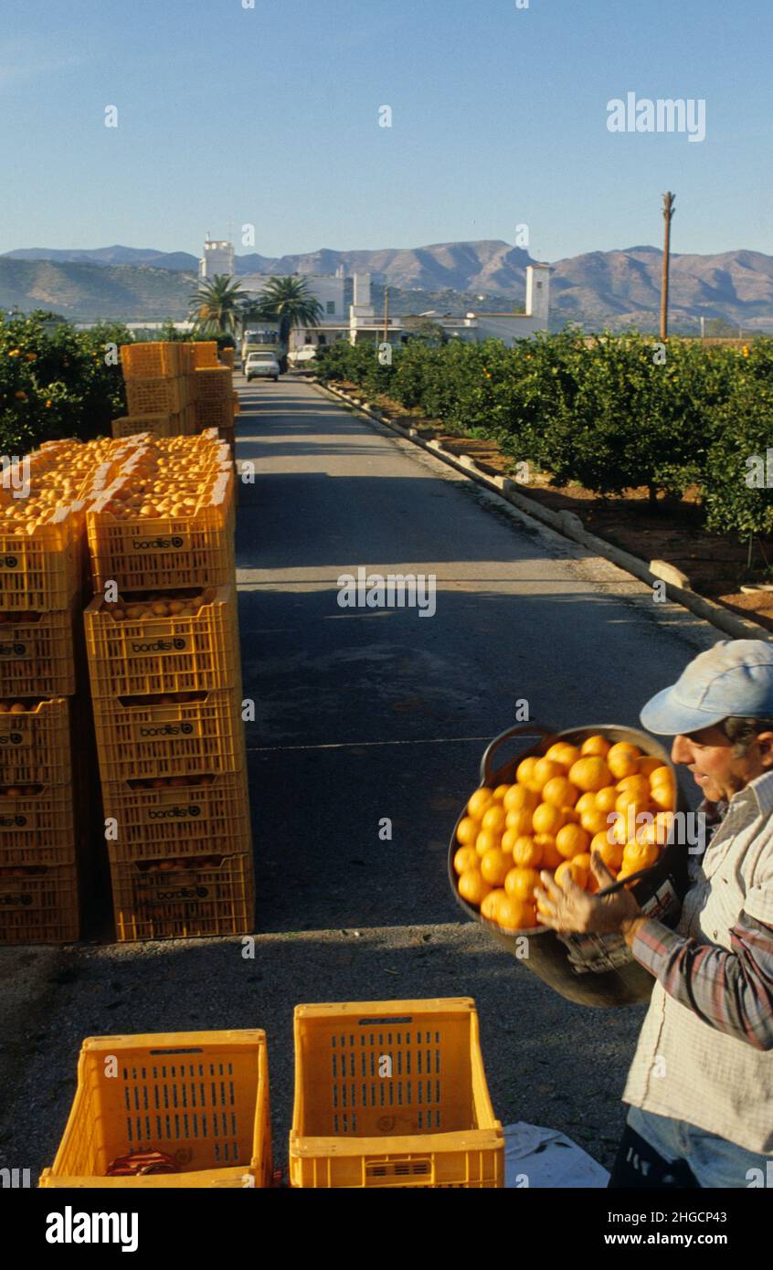 0102864 hi-res stock photography and images - Alamy