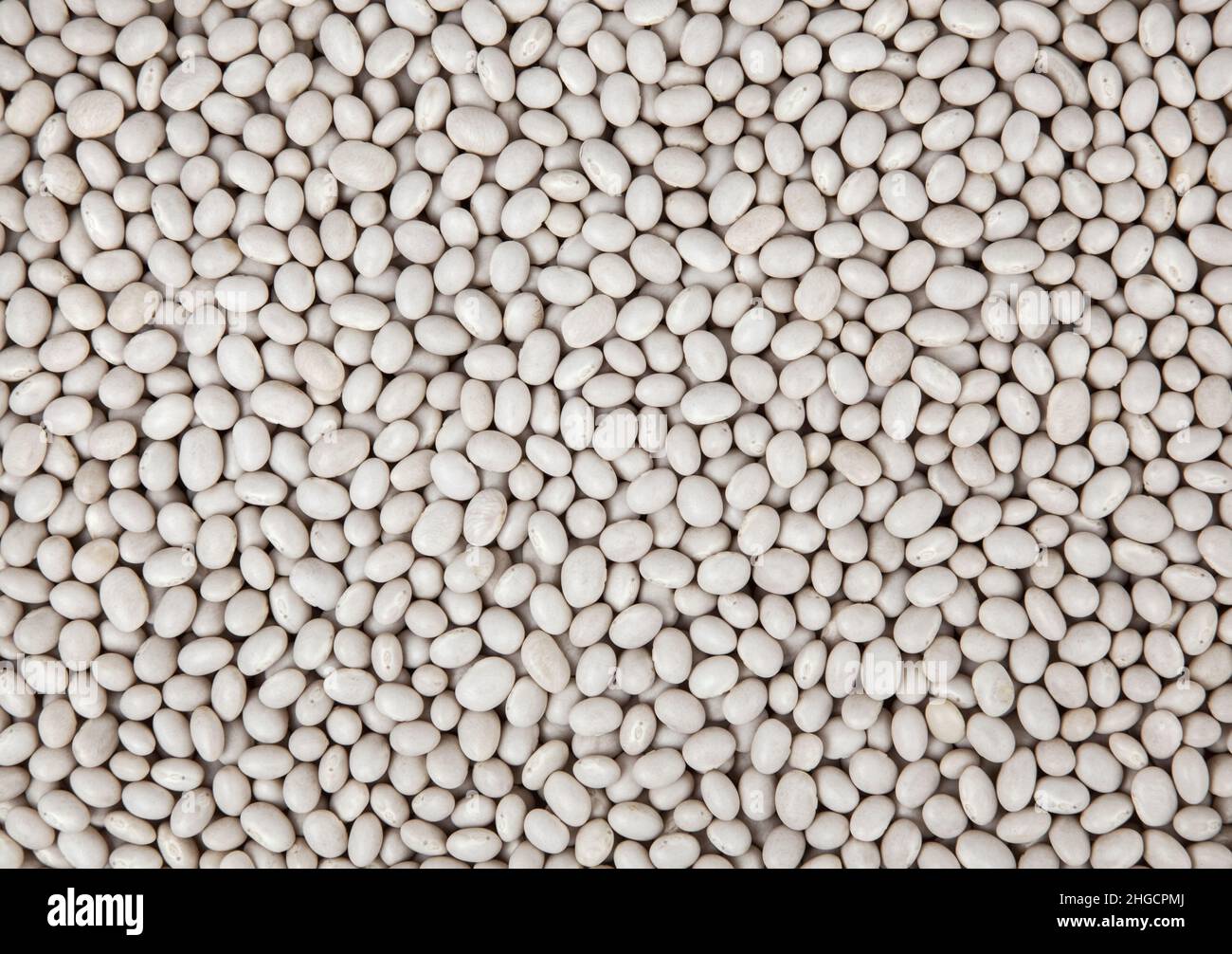 White beans background Stock Photo - Alamy