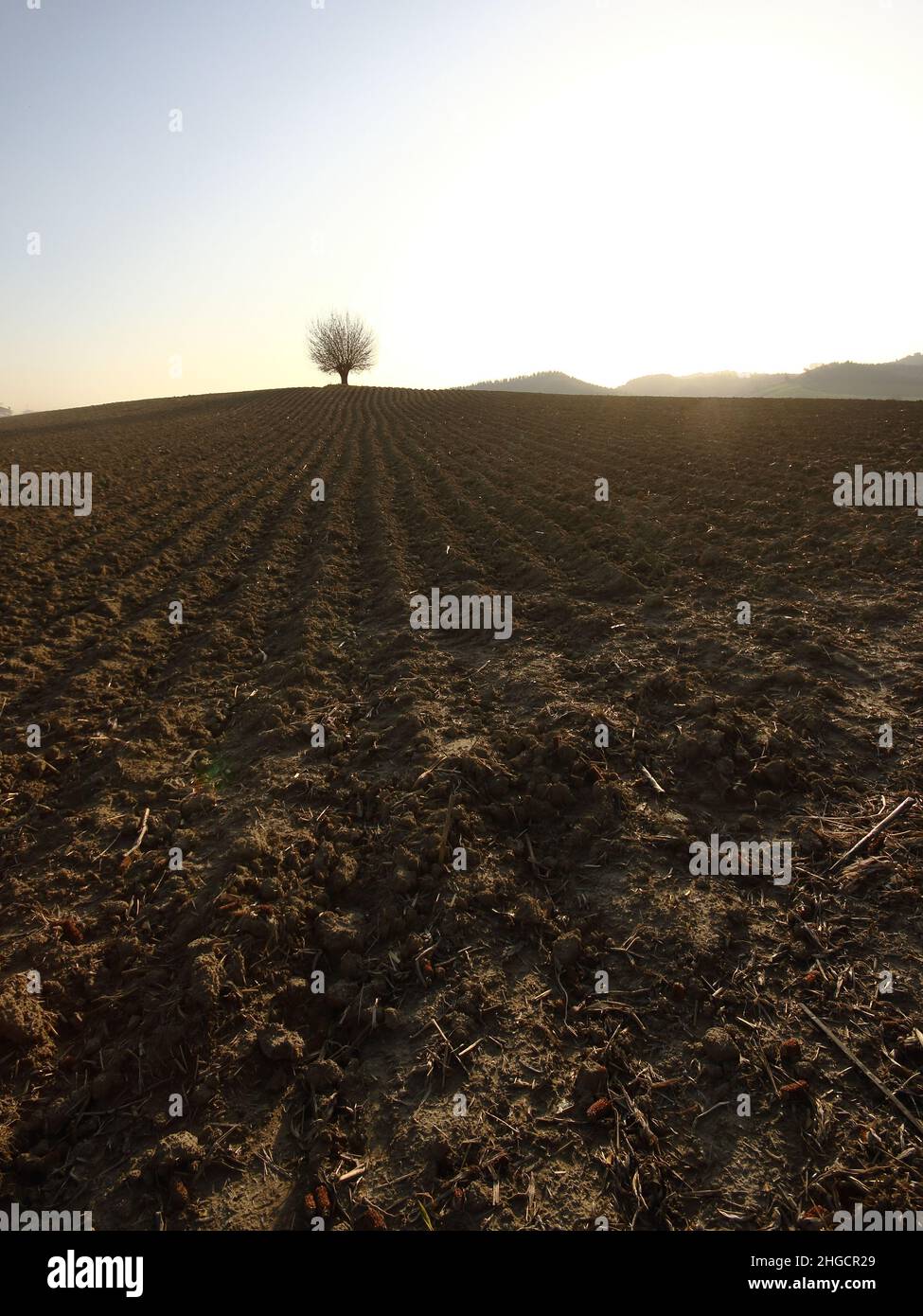 Single landscape hi-res stock photography and images - Alamy