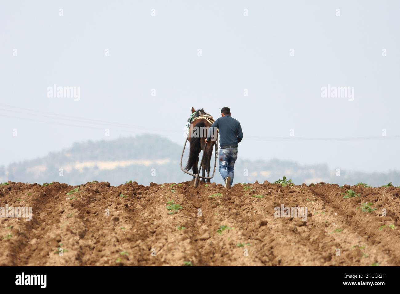 Agricultural labor history hi-res stock photography and images - Alamy