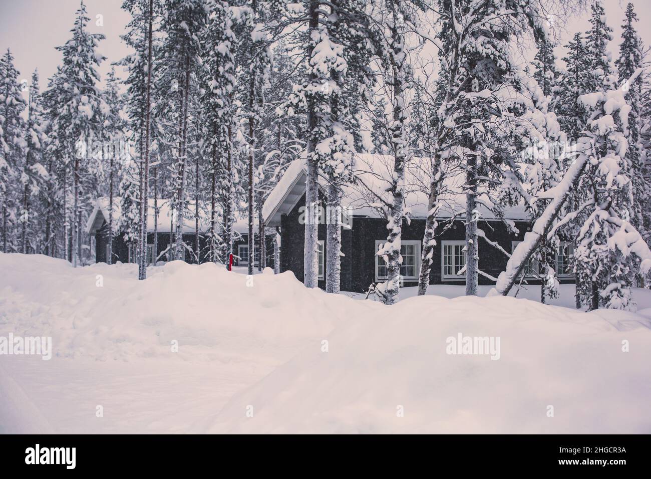 A view of cozy wooden scandinavian cabin cottage chalet house covered ...