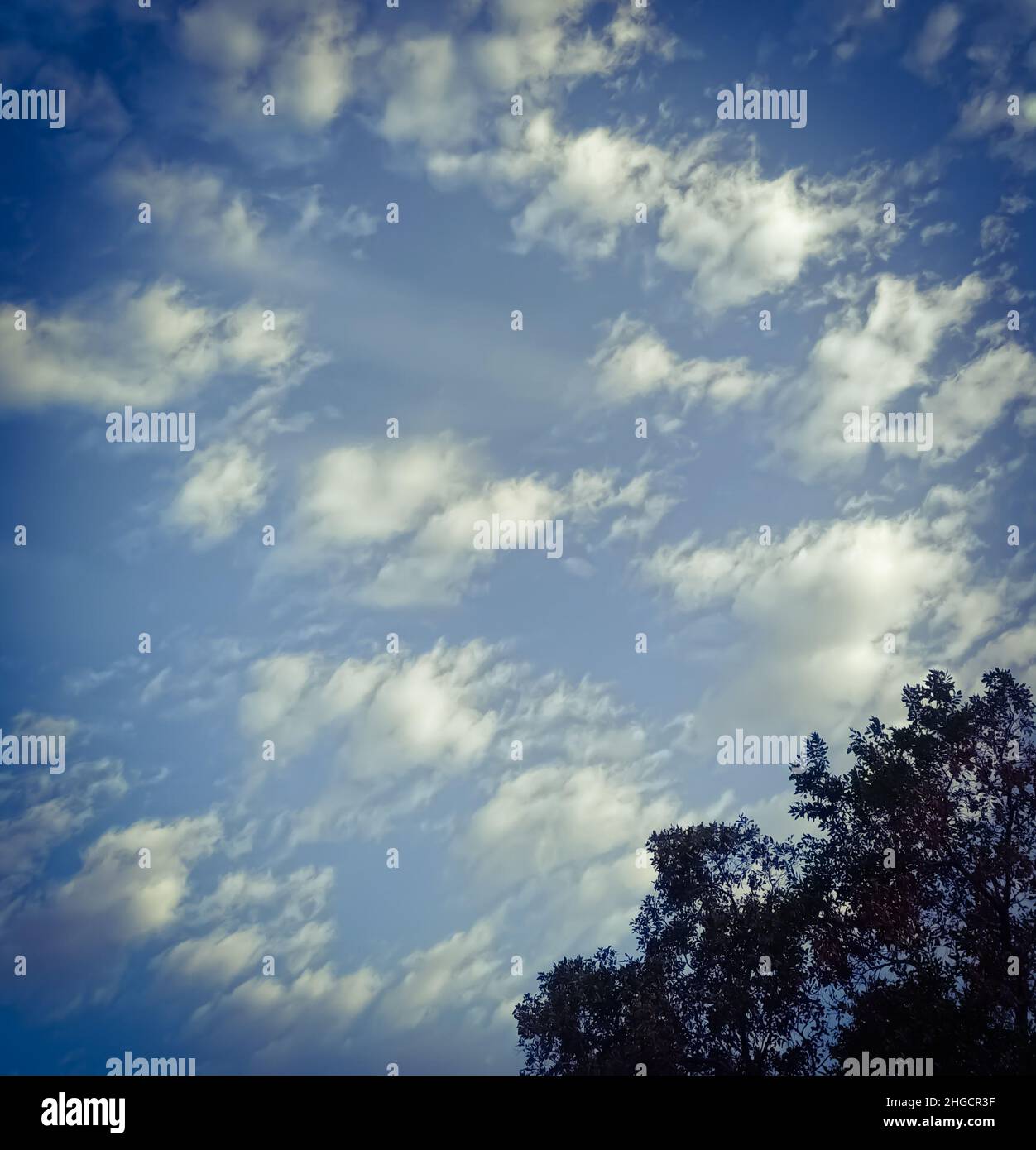 Sky Background With Clouds And Trees Stock Photo - Alamy