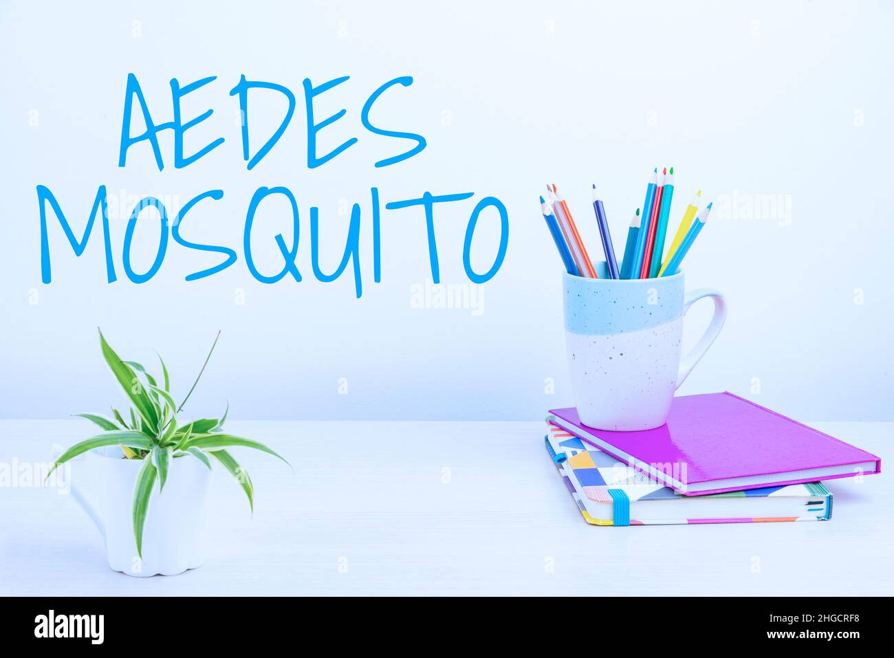 Handwriting text Aedes Mosquito. Word Written on the yellow fever ...