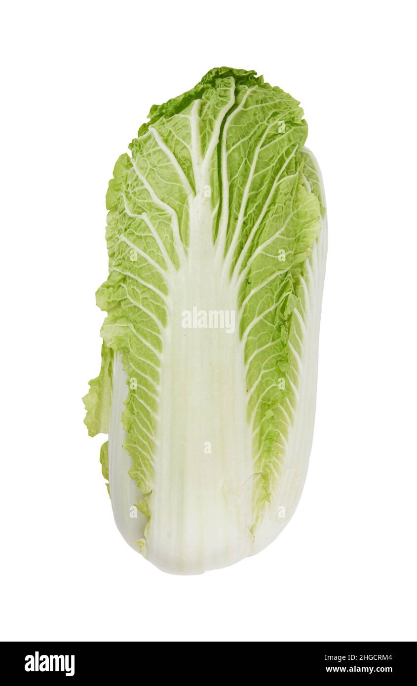 Fresh chinese cabbage isolated on a white background Stock Photo - Alamy