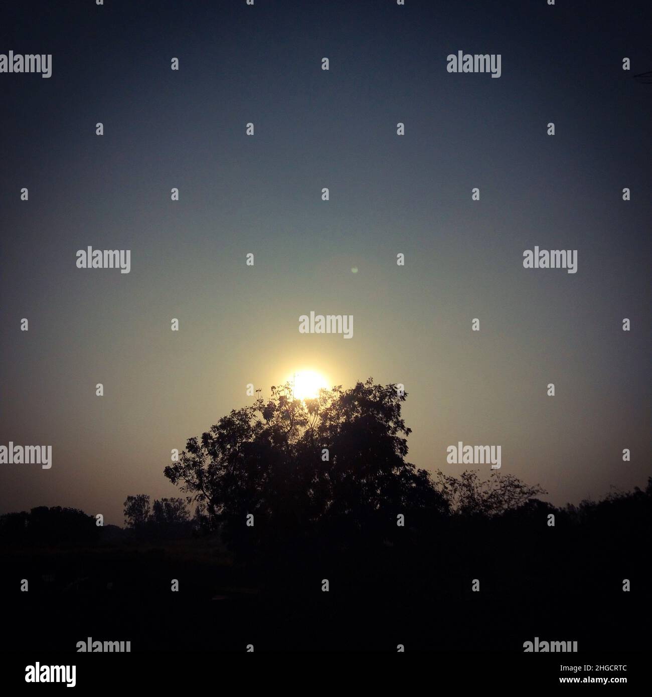 Sun Rising Behind The Trees Stock Photo - Alamy