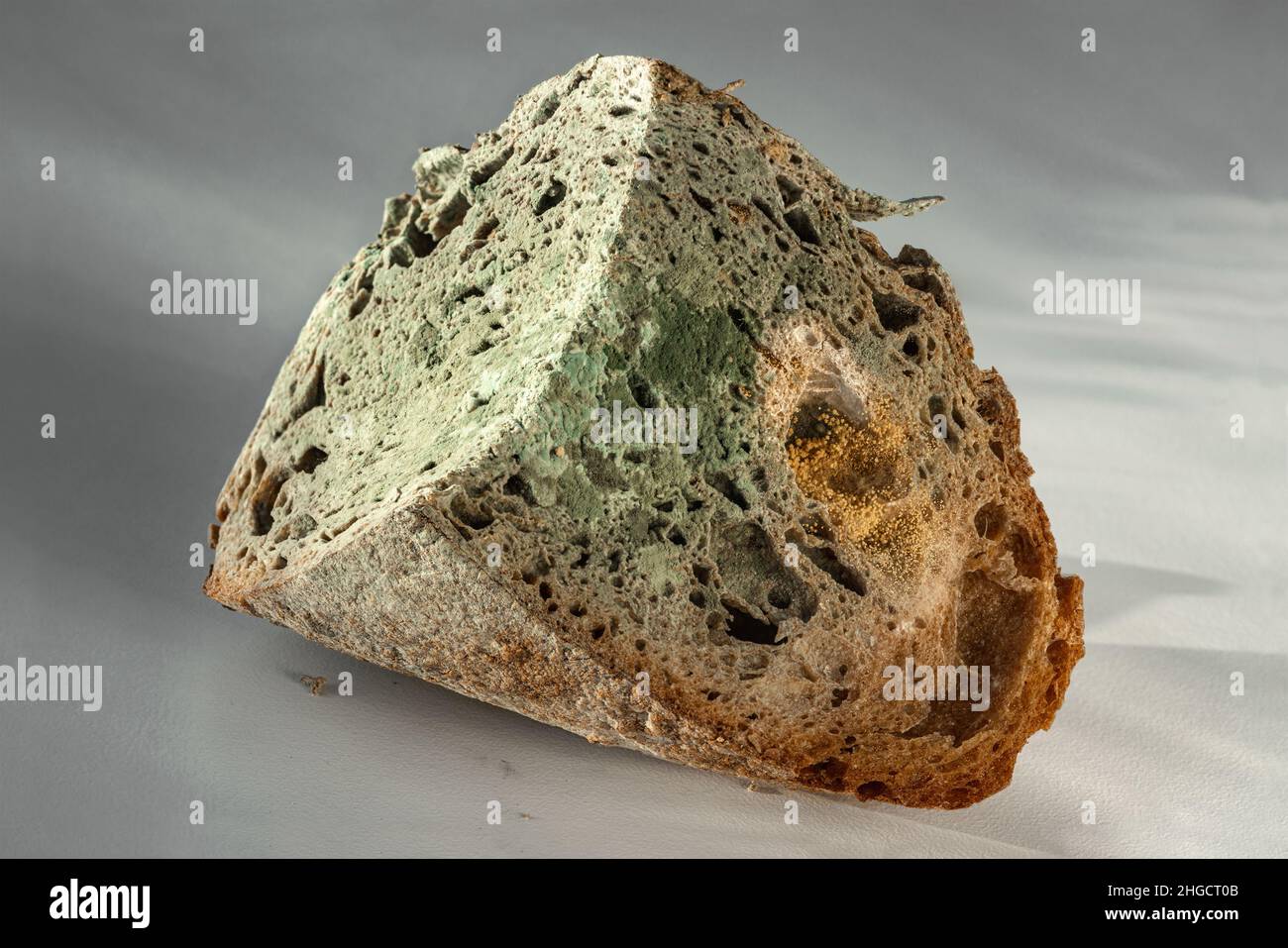 The old mold on the rye bread. Spoiled food. Mold on food grey ...