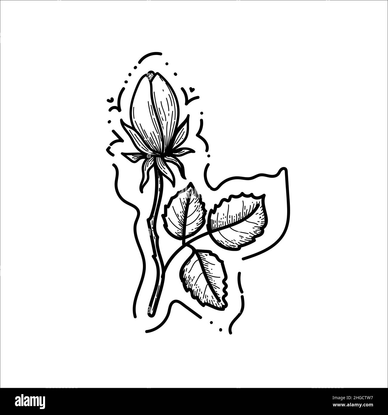 Hand-drawn rose flower doodle element on white background. Rosebud ...