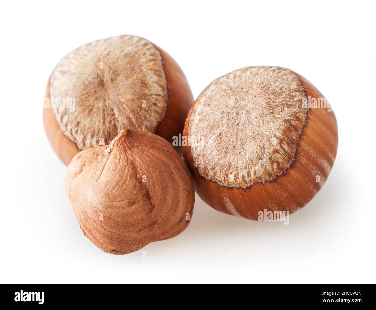 Filberts isolated on white background with clipping path Stock Photo ...