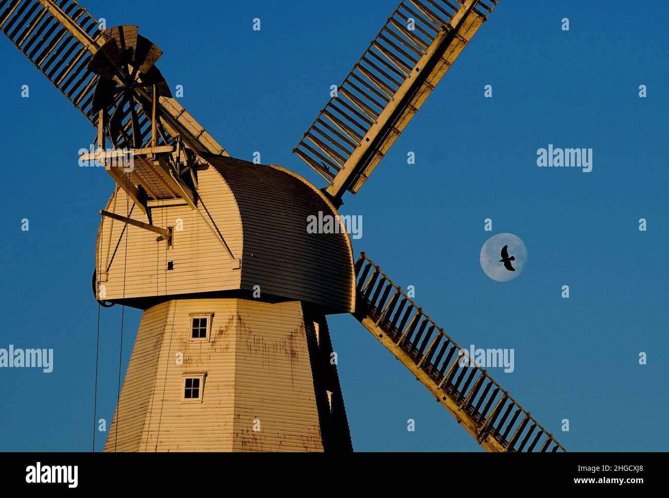 Willesborough Windmill, a white smock mill built in 1869 is bathed in ...