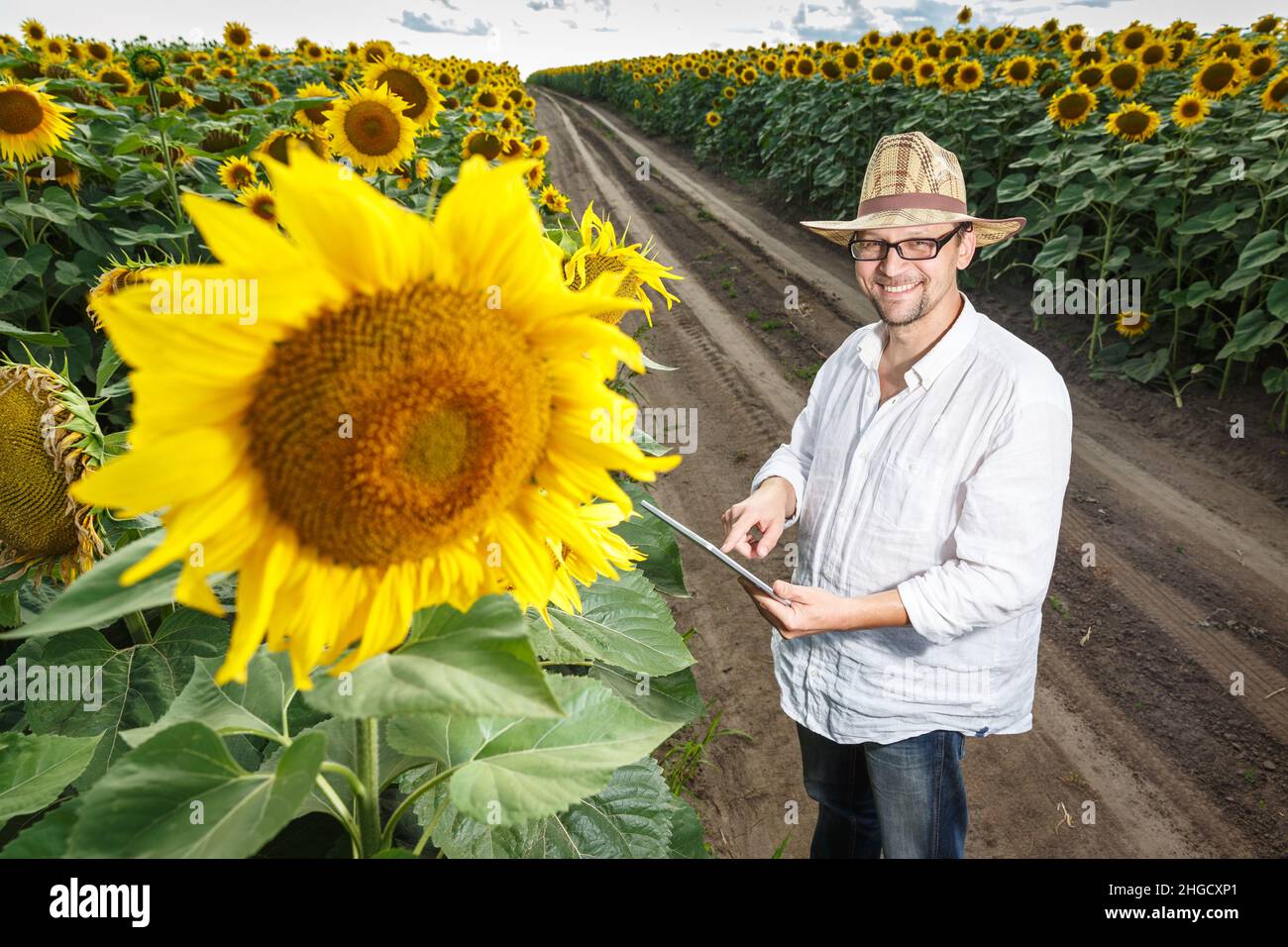 Farmer in a straw hat wearing glasses with a digital tablet inspecting ...