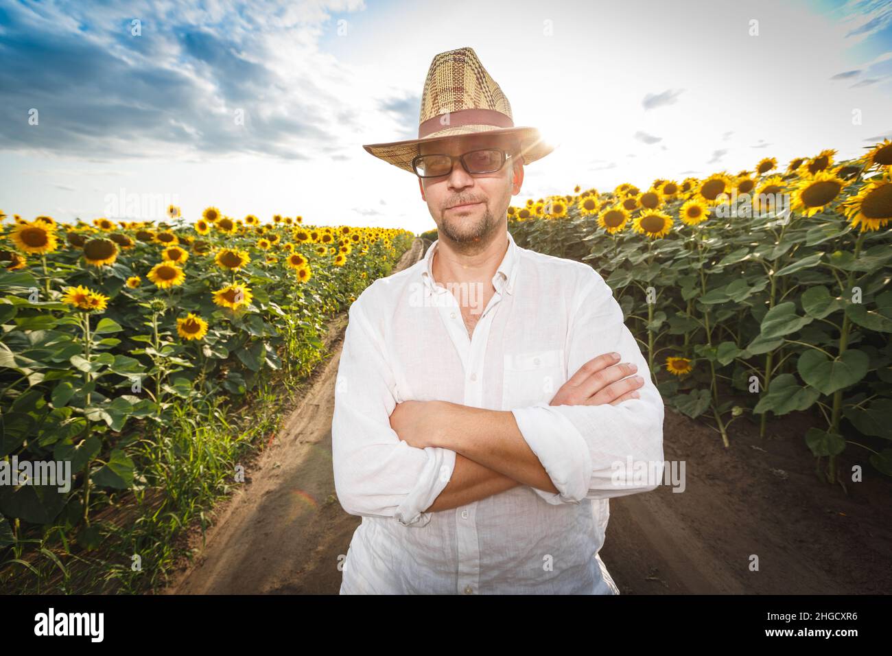 Portrait of a farmer in a straw hat wearing glasses in a sunflower ...