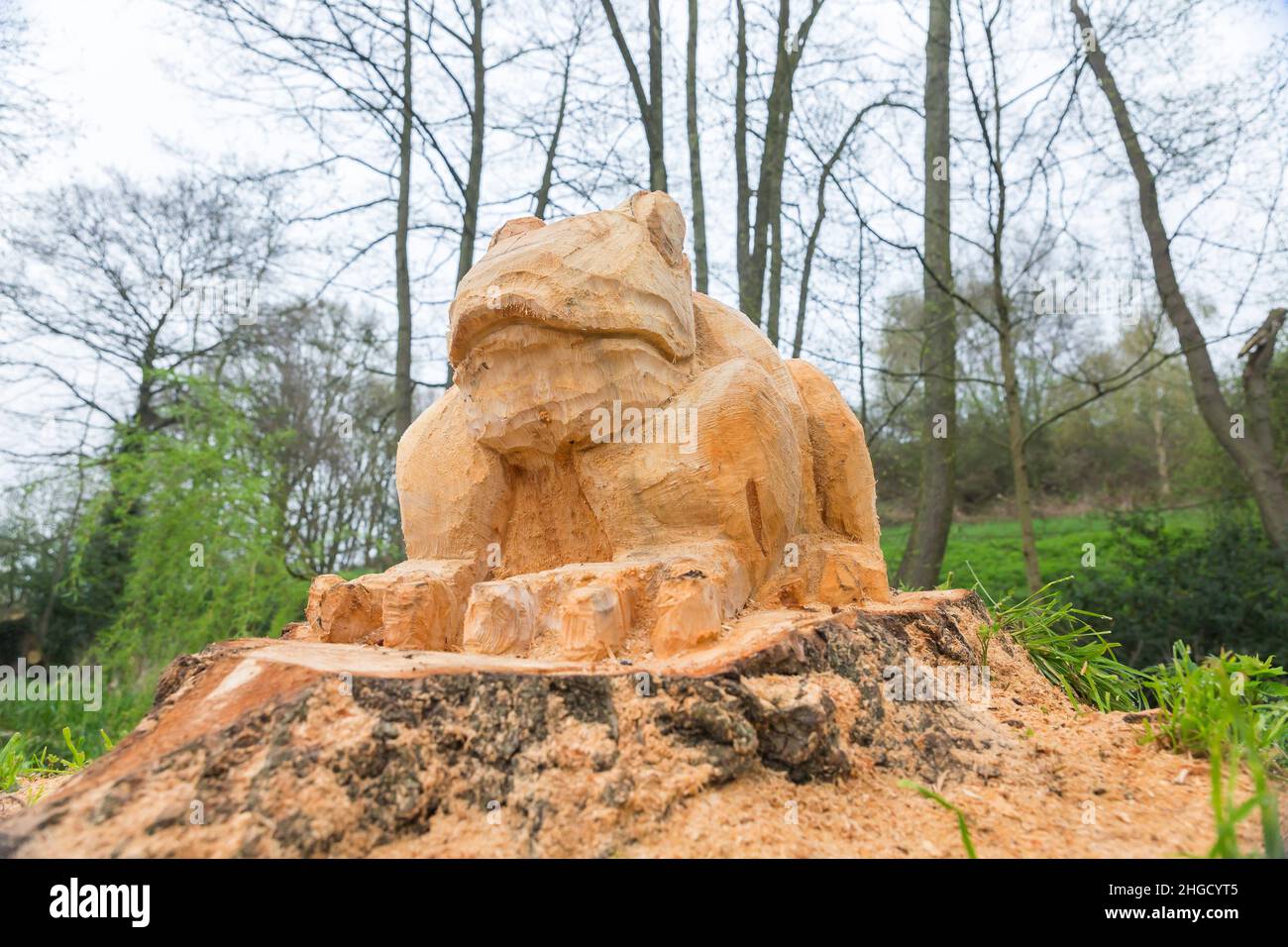 Large wood frog carving isolated outdoors in a country park, UK Stock ...