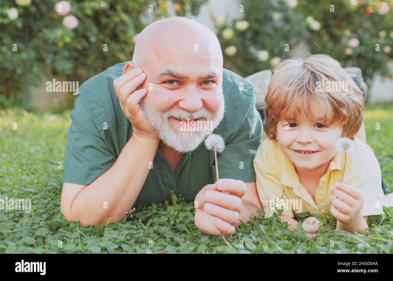 Two different generations ages: grandfather and grandson together ...