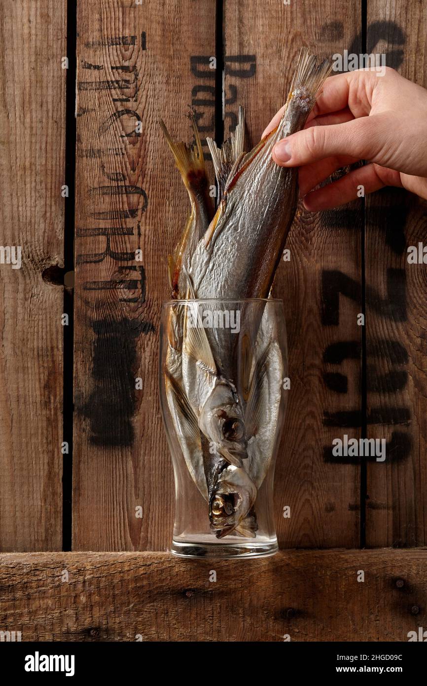 Sabre carp hi-res stock photography and images - Alamy