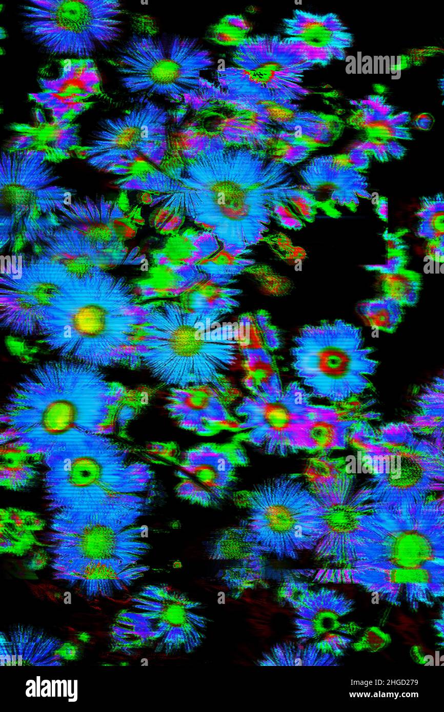 Motion Glitch interlaced neon summer flowers Distorted futuristic ...
