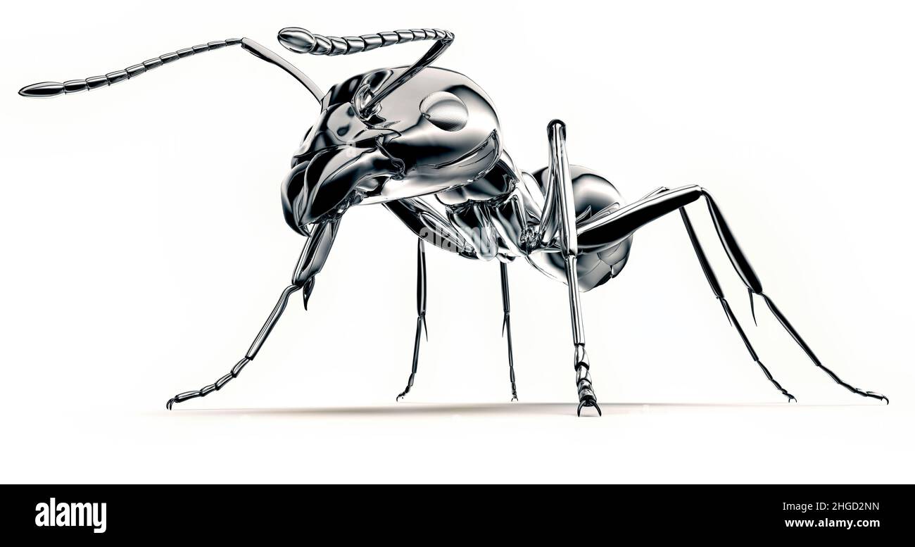 giant metal robot ant isolated on white , 3D illustration Stock Photo ...