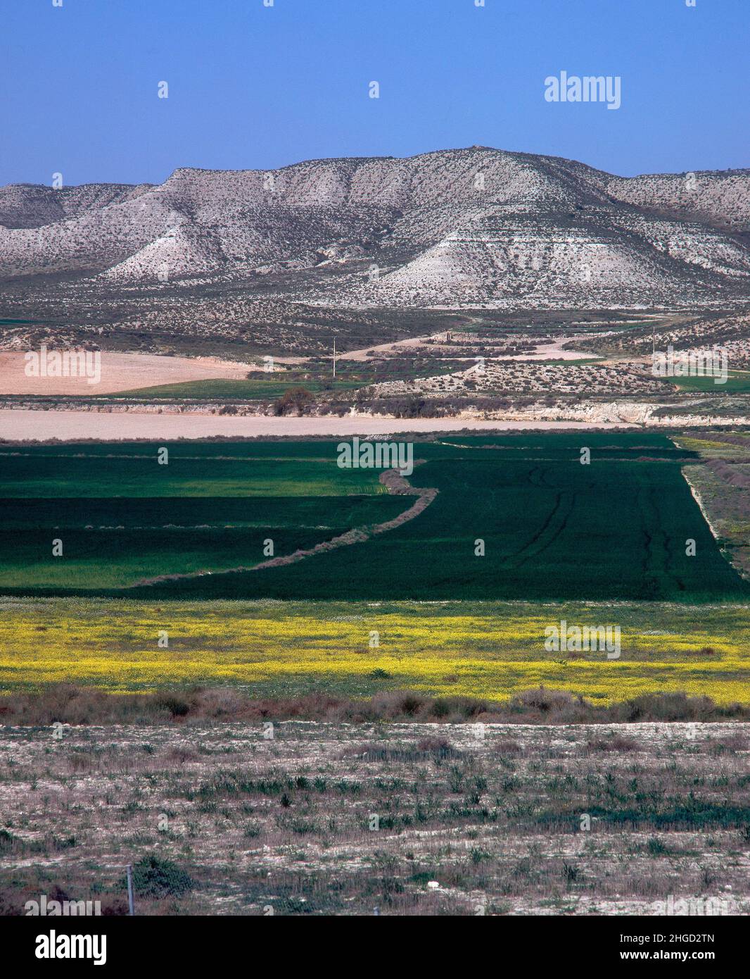 VISTA DE CAMPOS Y MONTAÑAS TIPICAS DE LA ZONA - FOTO AÑOS 90 ...