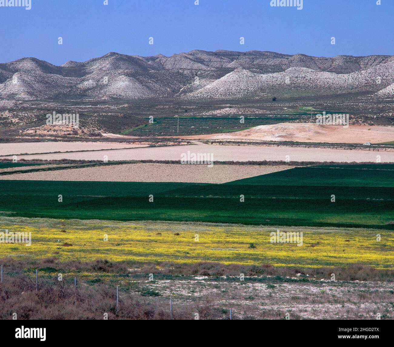 VISTA DE CAMPOS Y MONTAÑAS TIPICAS DE LA ZONA - FOTO AÑOS 90 ...