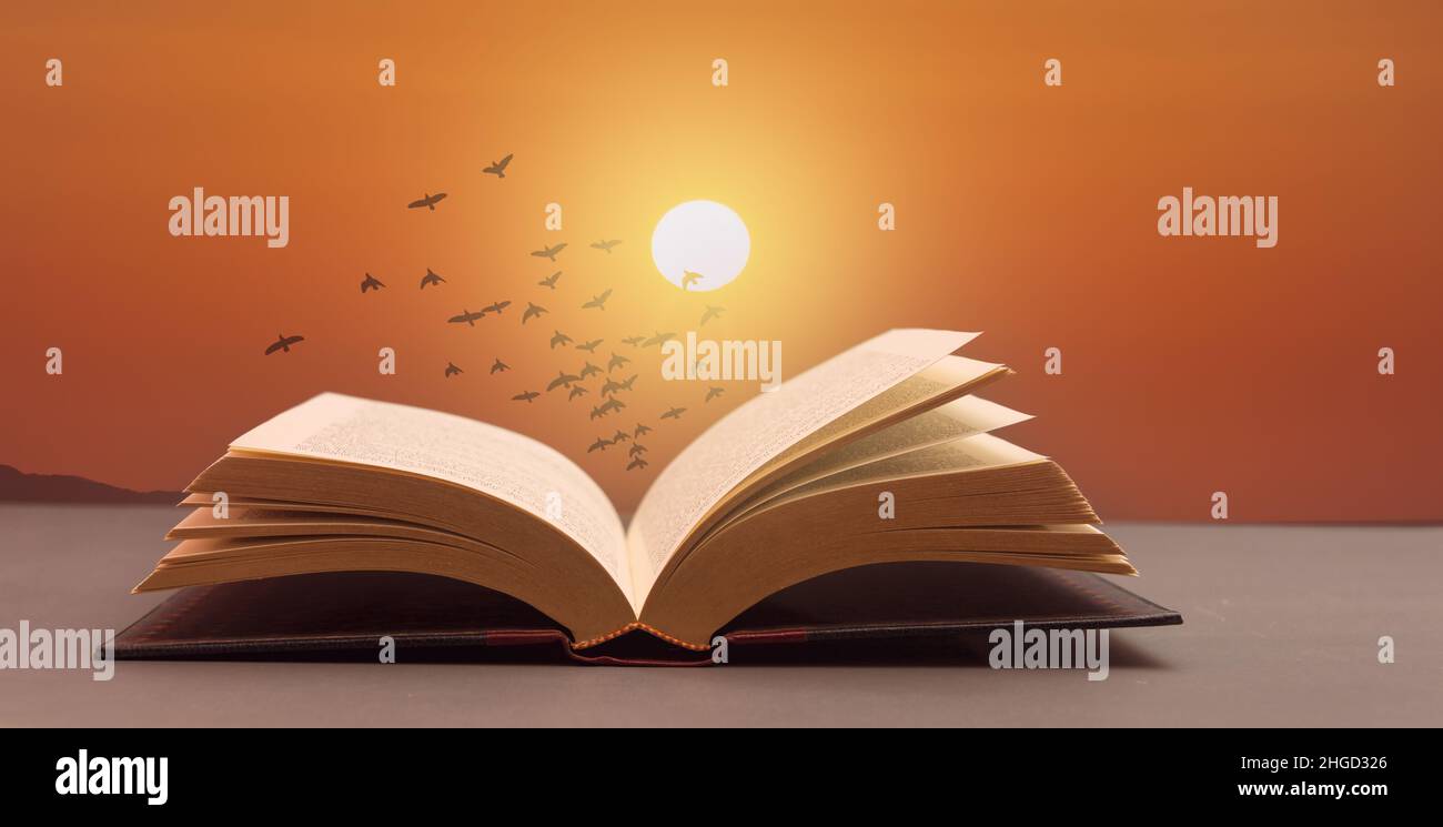 open book on table in front of setting sun with flying birds concept of ...
