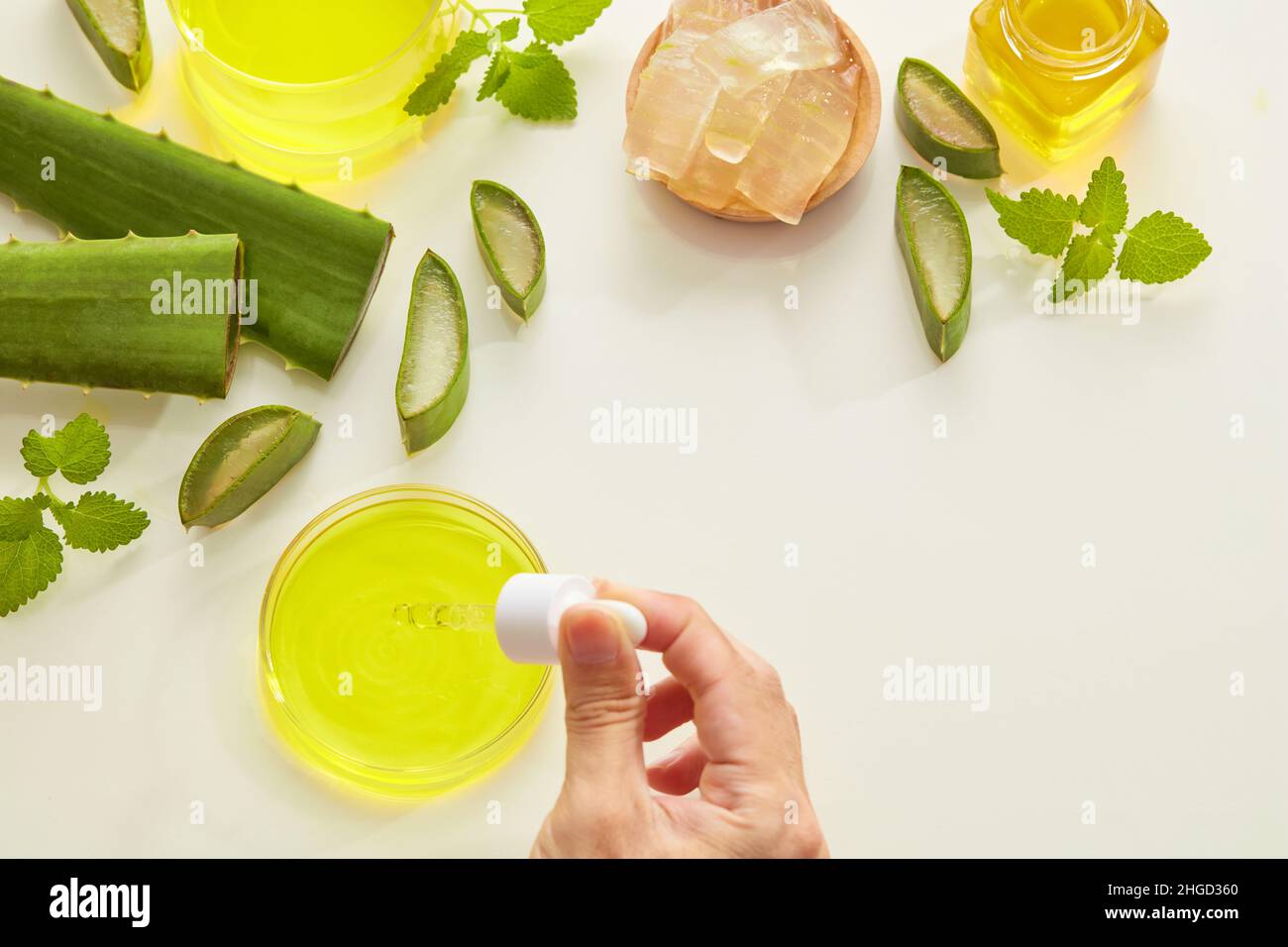 Aloe vera extract research in laboratory with yellow water in ...