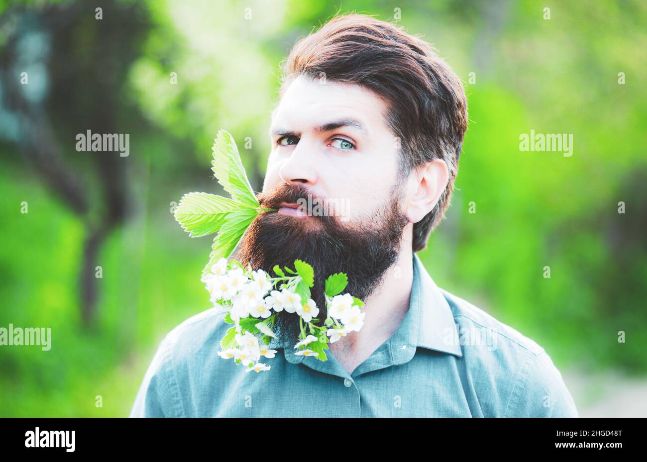Funny blossom beard spring hi-res stock photography and images - Alamy