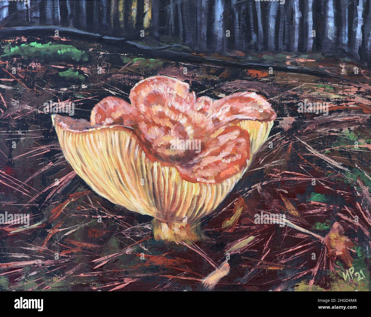 Delicious milk cap also orange-milk mushroom - delicious edible ...