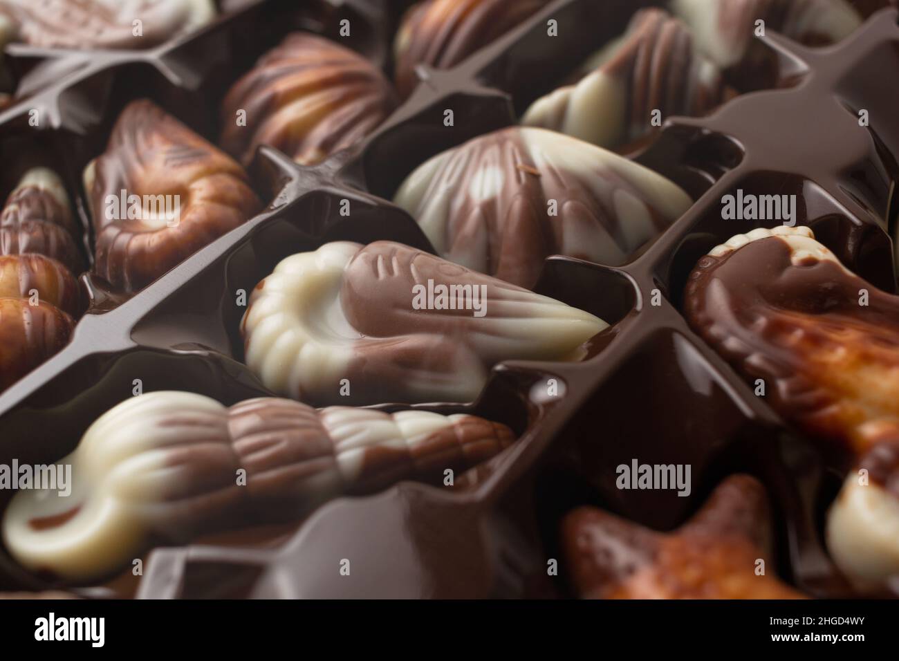 Box of chocolates seashells isolated on white background Stock Photo ...
