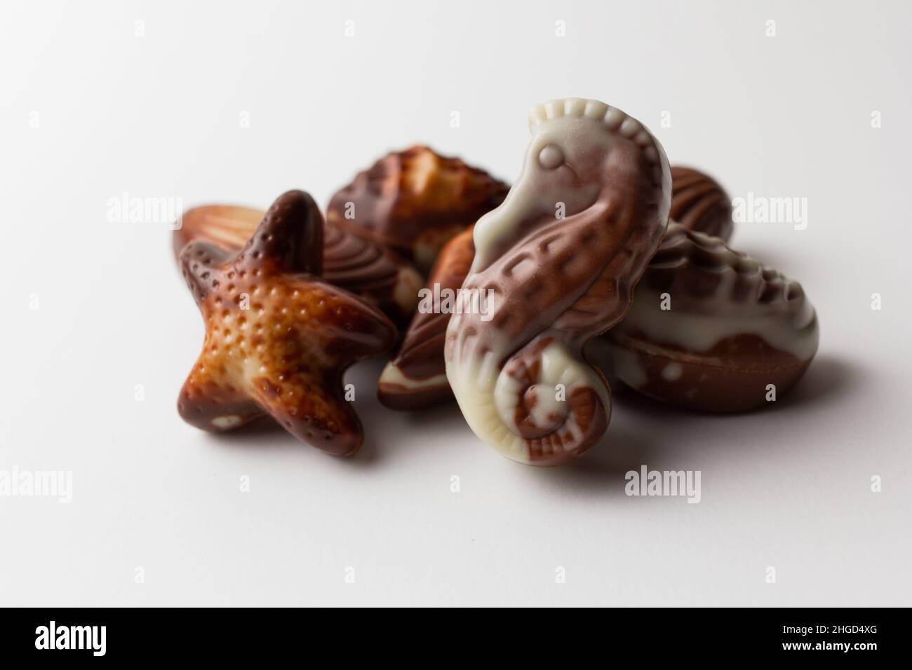 Belgian chocolate seashells hi-res stock photography and images - Alamy