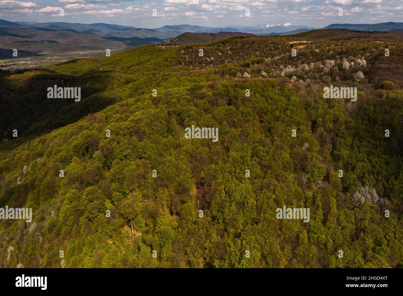 Aerial footage rocky green forests hi-res stock photography and images ...