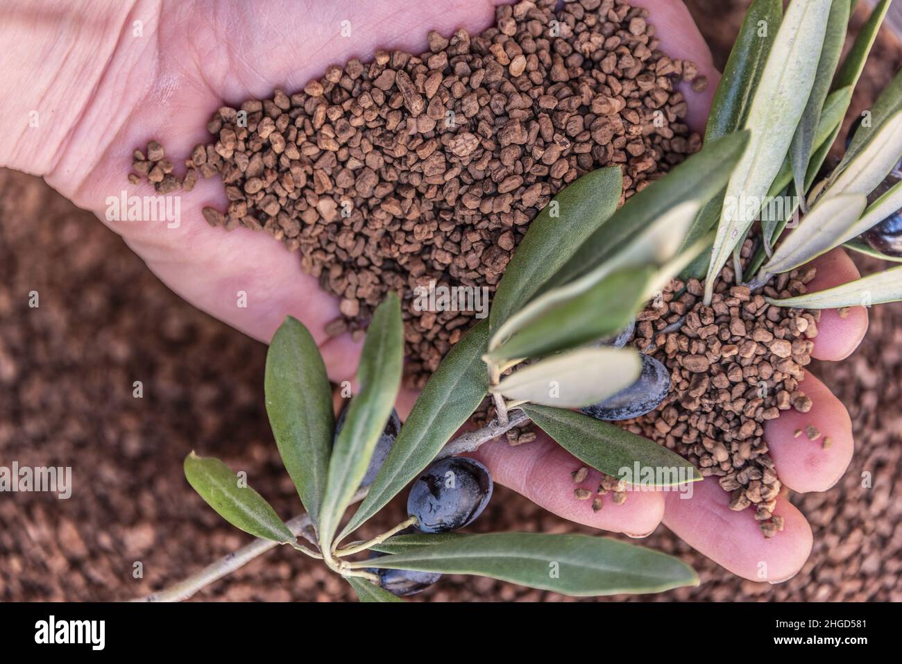 Bio fuel green energy cargo hi-res stock photography and images - Alamy