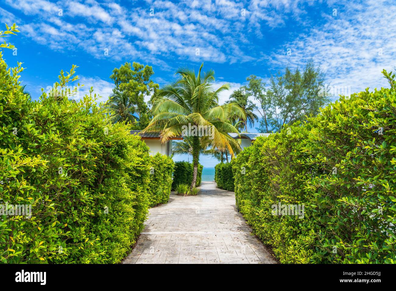Green garden and blue sky Stock Photo - Alamy