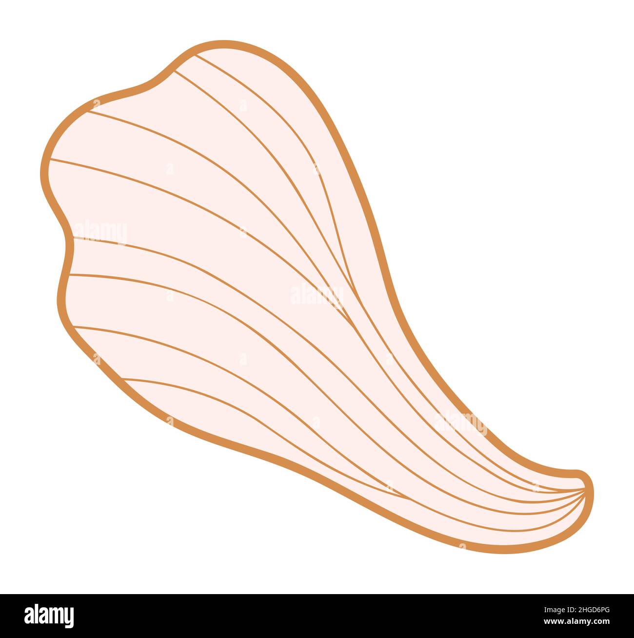 Poppy petal silhouette. Flower petal design element vector illustration ...