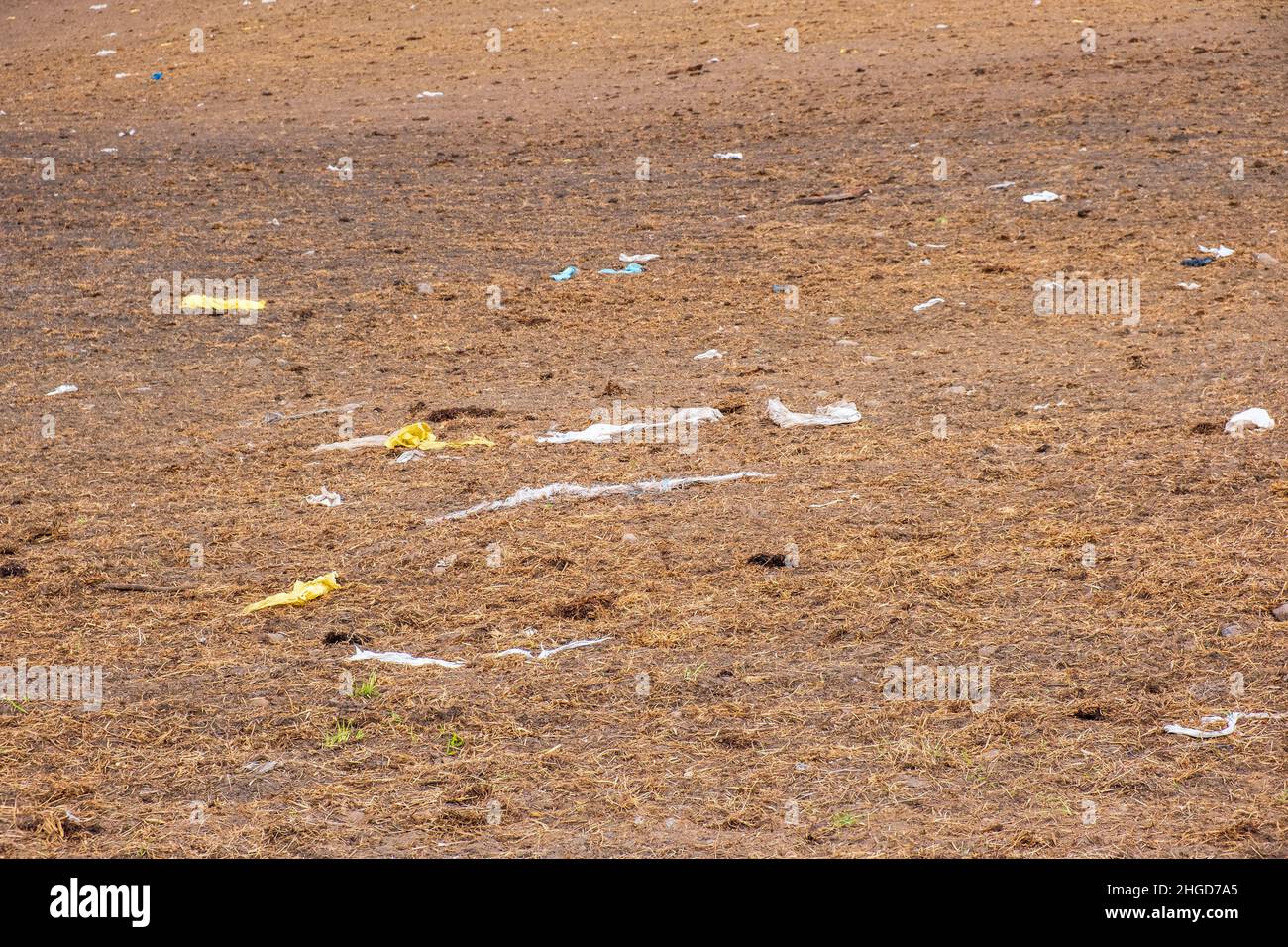 Plastic contamination in the soil in a field Stock Photo - Alamy