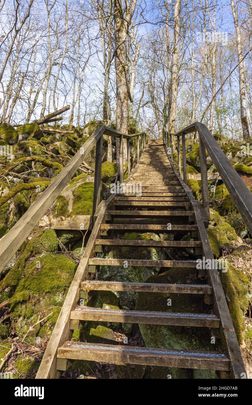 Long stair on a wooded trail at a hill Stock Photo - Alamy