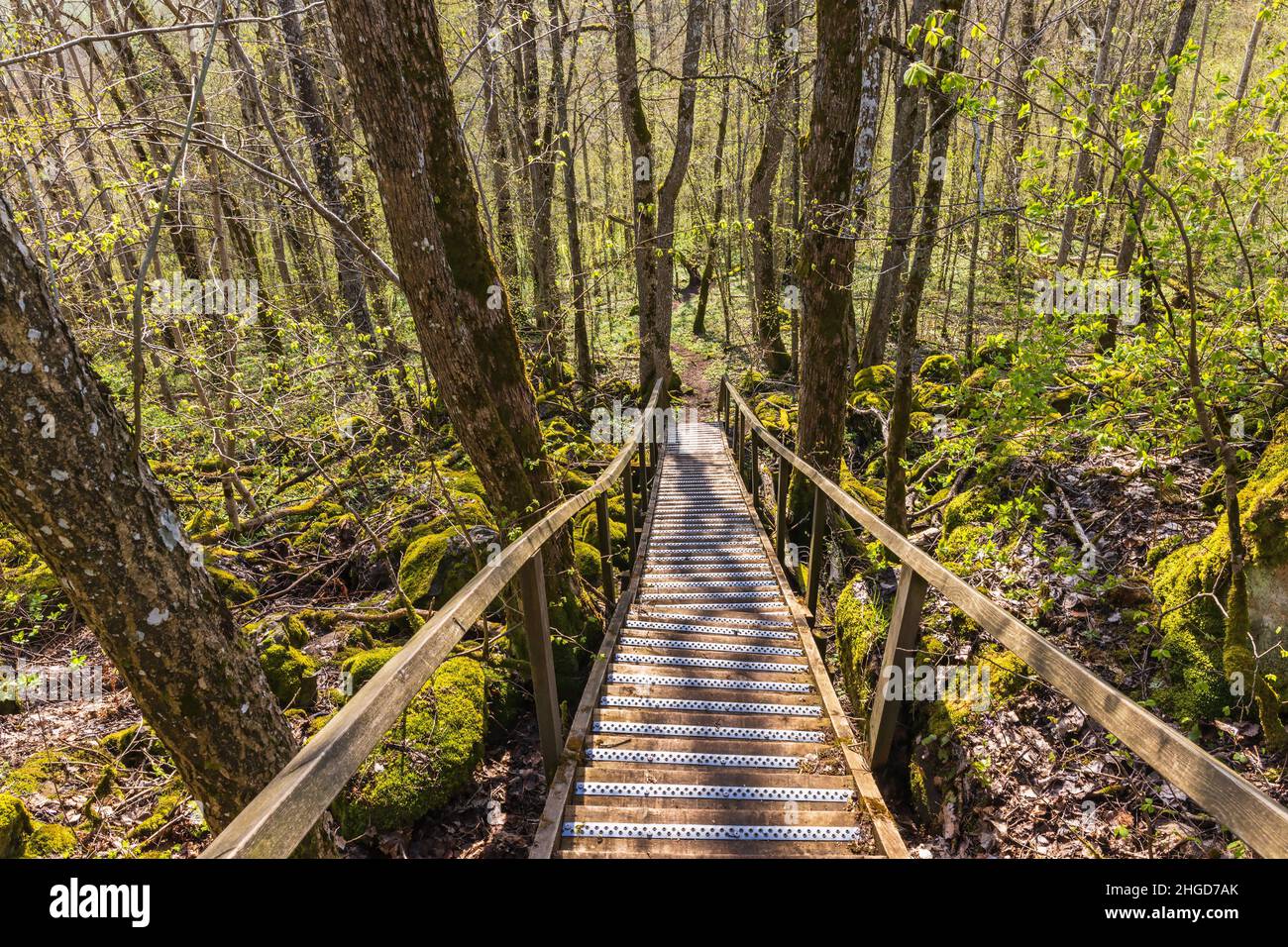 Wooden staircase on a trail at a slope Stock Photo - Alamy