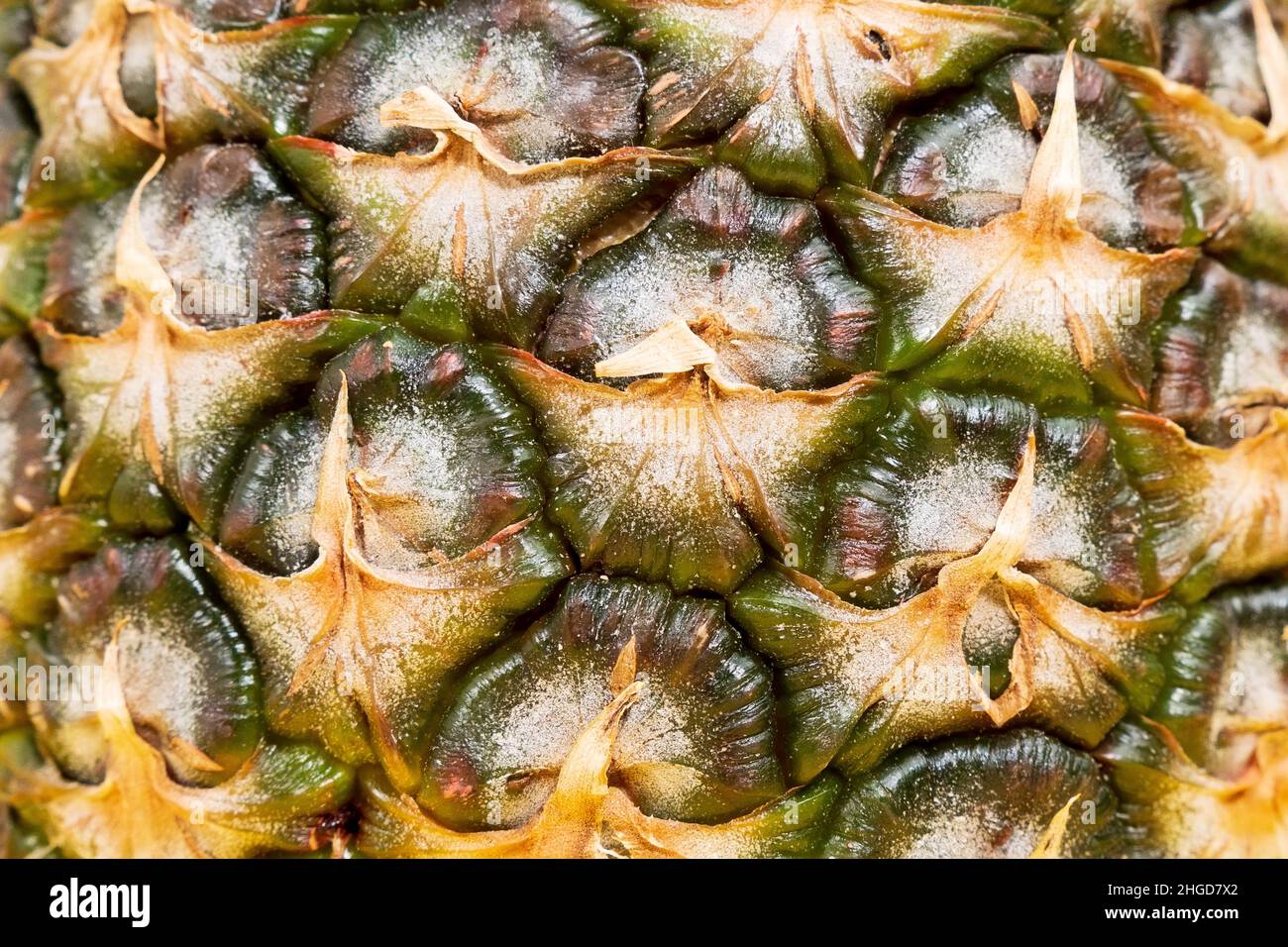 Pineapple skin texture. Close up of pineapple texture background. Fruit ...