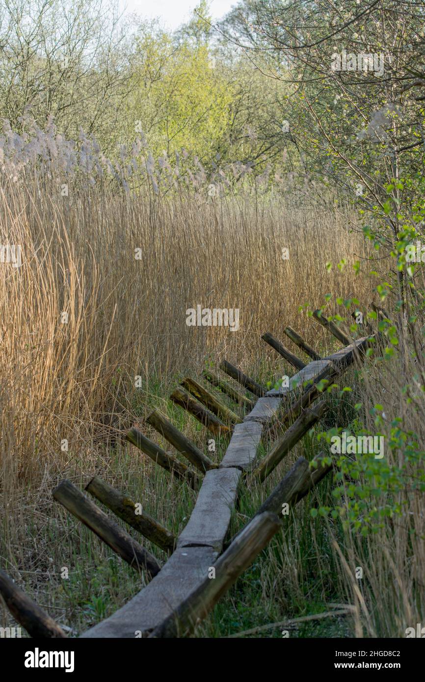 sweet track in Avalon Marshes Stock Photo - Alamy