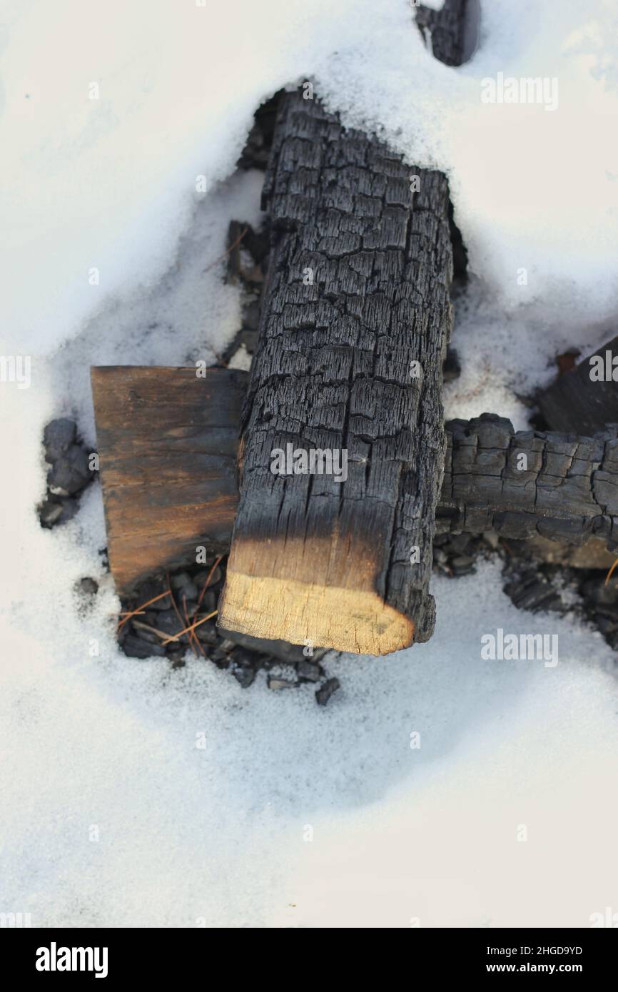 Burned and charred campfire logs in the middle of winter Stock Photo ...