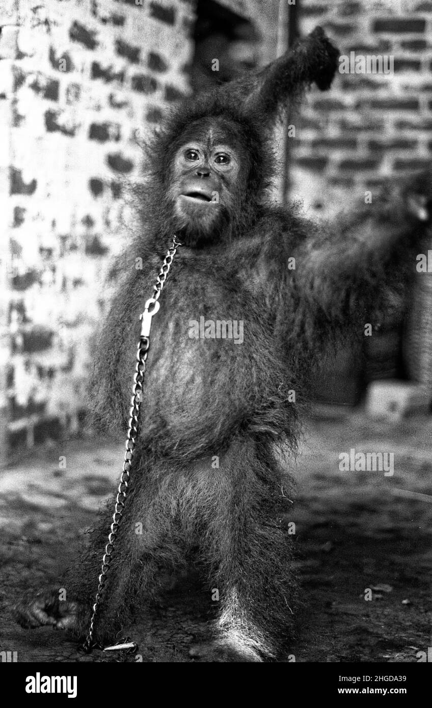 Causeway islands Black and White Stock Photos & Images - Alamy