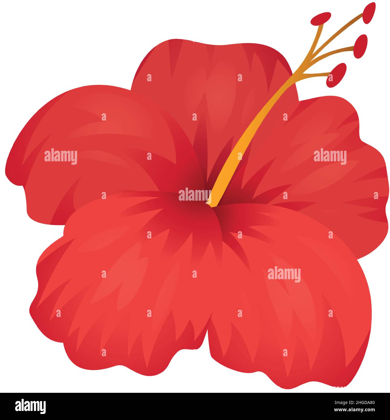 Single red hibiscus flower Stock Vector Images - Alamy