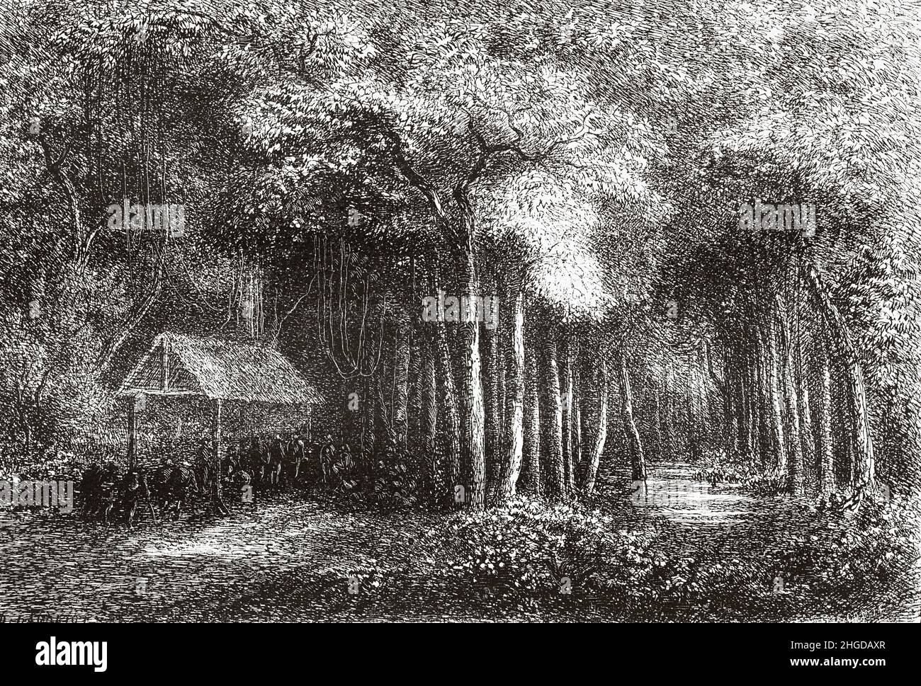 Ajoupa or small cabin of Mamabamba, southern Peru. South America. Old ...