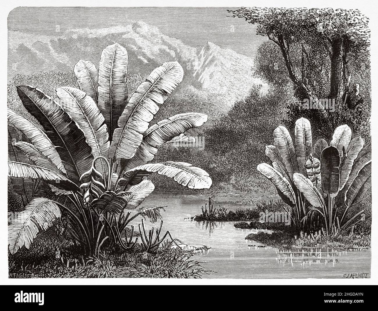 Rural america in art Cut Out Stock Images & Pictures - Alamy