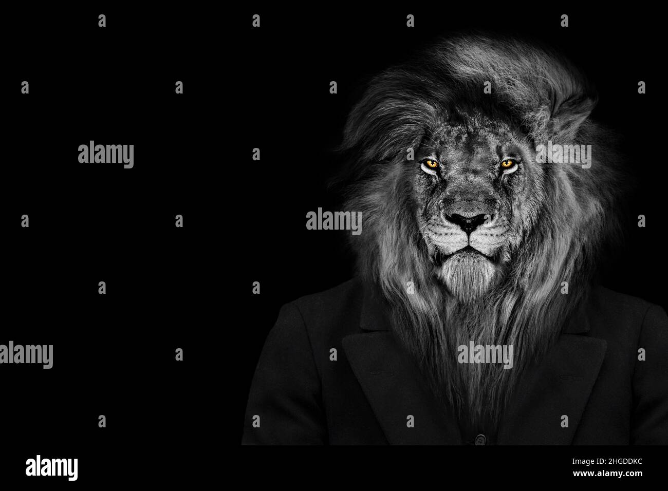 Man in the form of a Lion , The lion person , animal face isolated ...