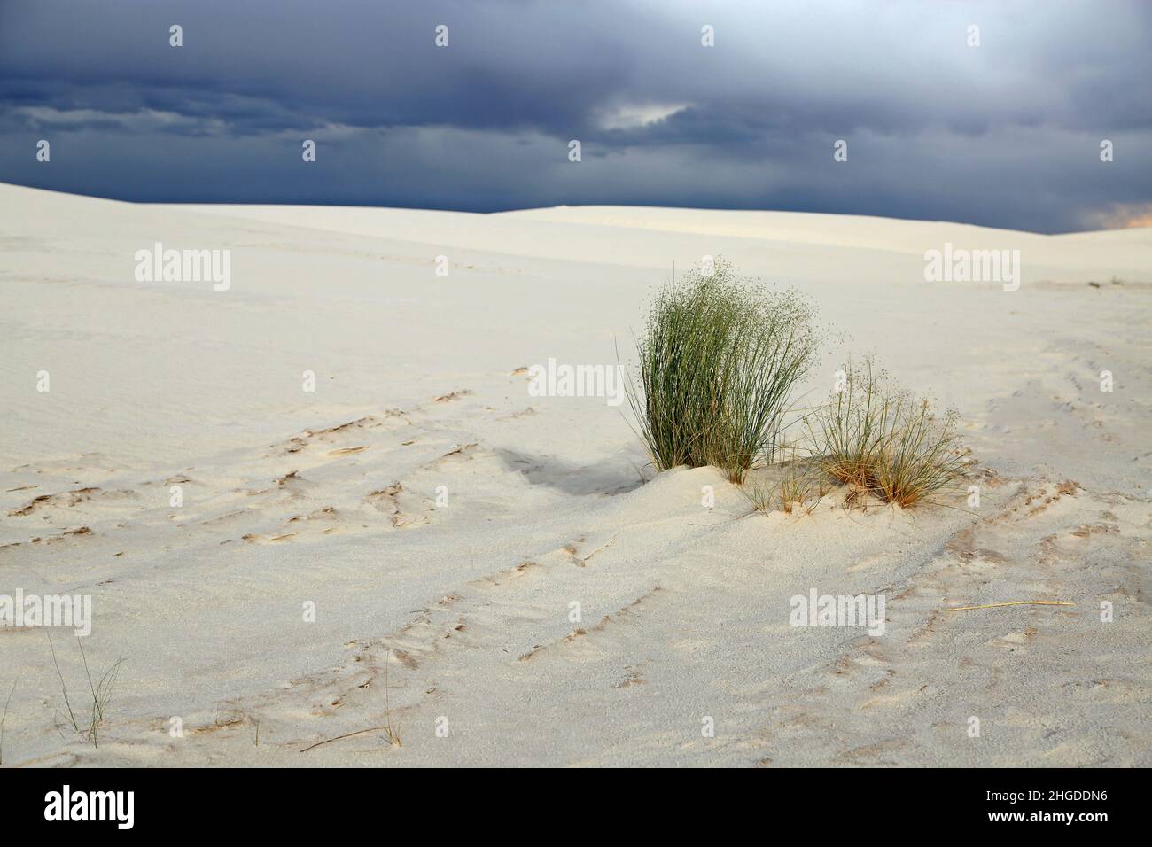 White sands landscape - White Sands National Park, New Mexico Stock ...