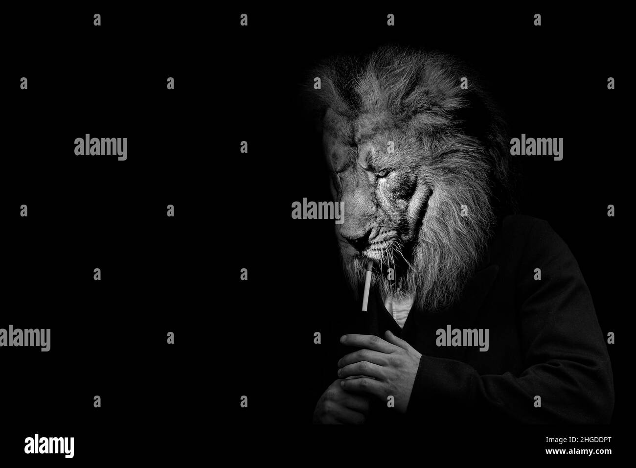 Man in the form of a Lion , The lion person , animal face isolated ...